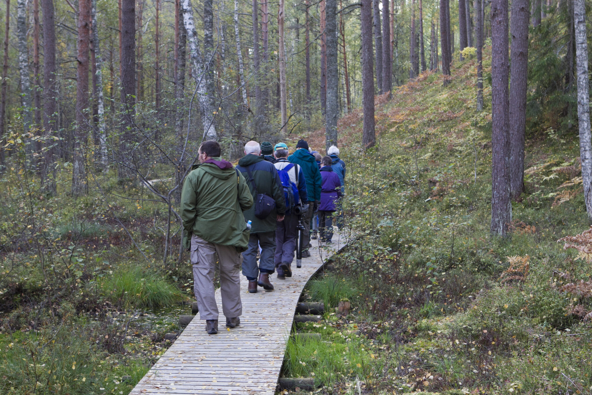 Excursions in Estonia - bird watching - wine and food tours