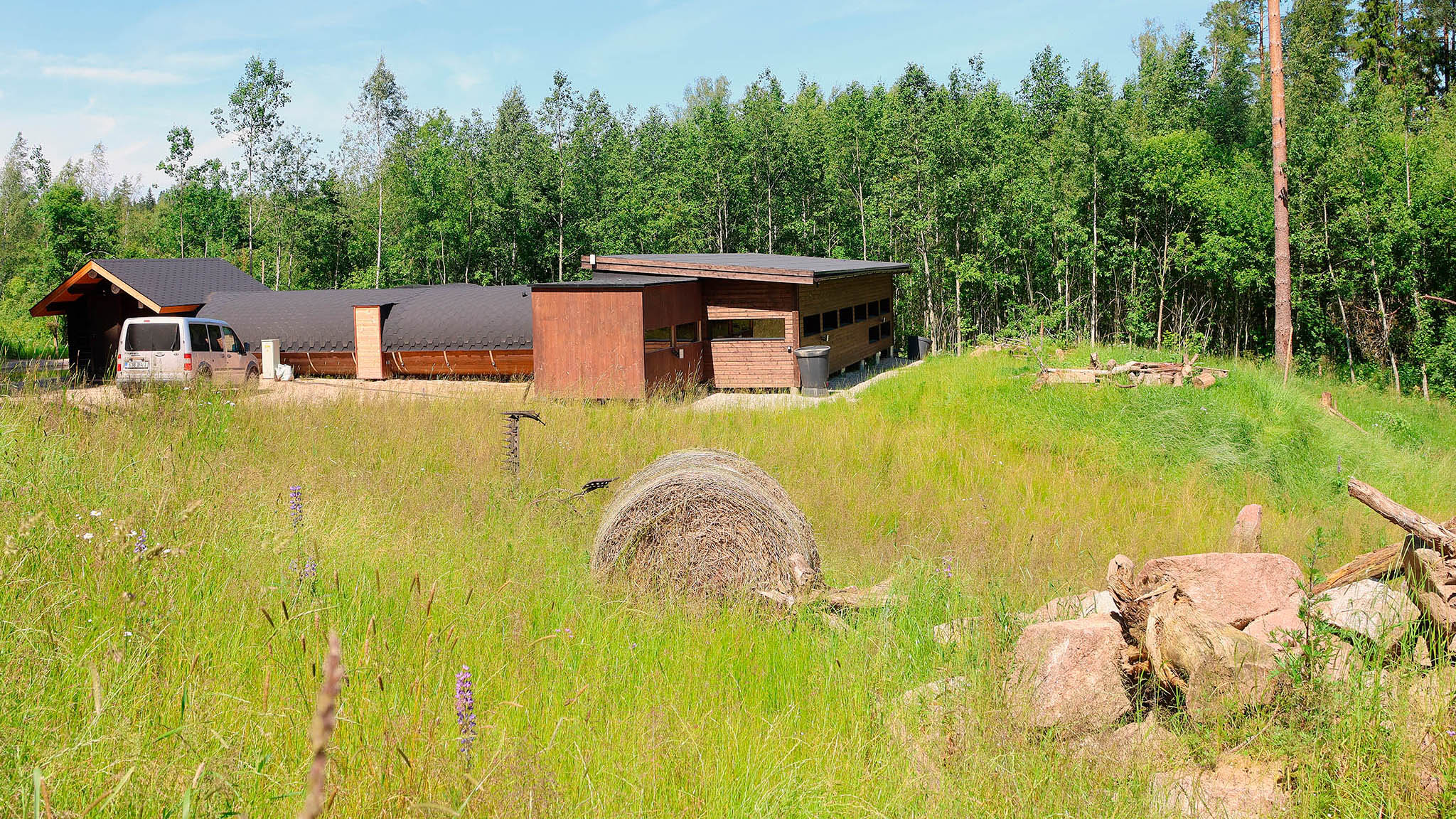 Wildlife Photographic Hides & Tours with Wildlife Dreams